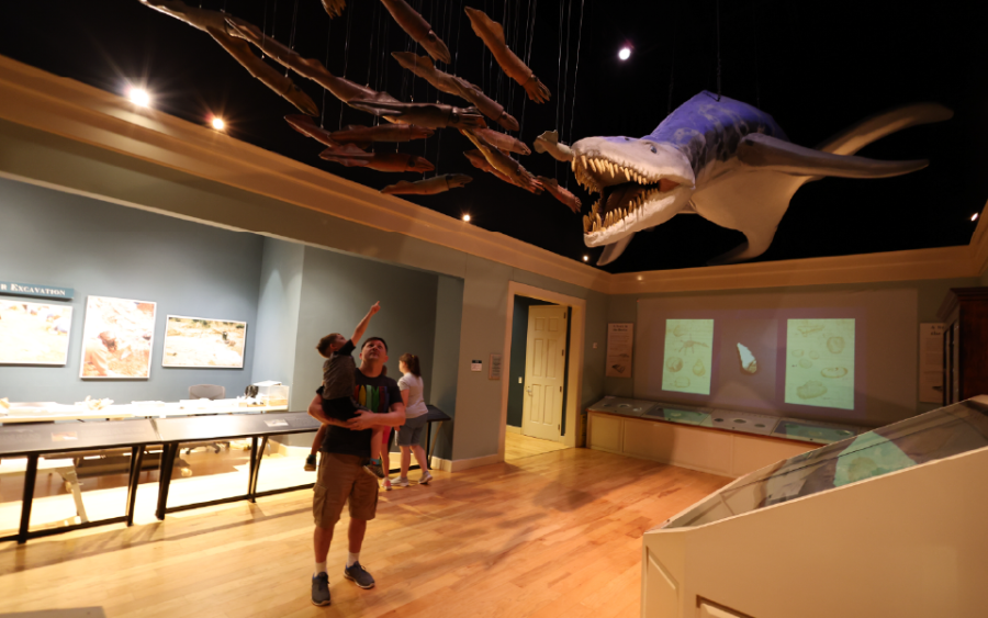 Discounts | Mayborn Museum | Baylor University